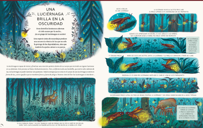 CON CALMA AQUI Y AHORA, MAS HISTORIAS DE LA NATURALEZA | LAURA BRAND ...